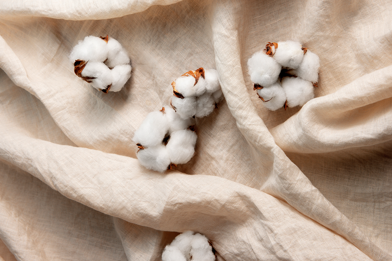 Out Story – IN COTTON